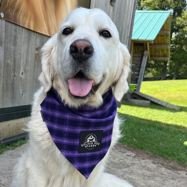 GDF Flannel Dog Bandana x Vermont Flannel - Golden Dog Farm LLC