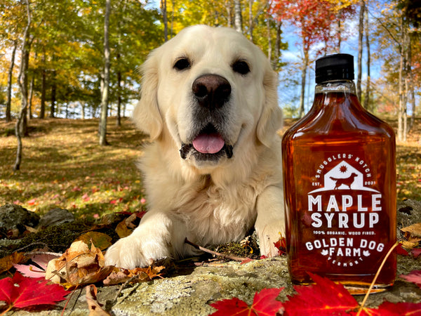 Single 375ML Bottle Maple Syrup - Golden Dog Farm LLC