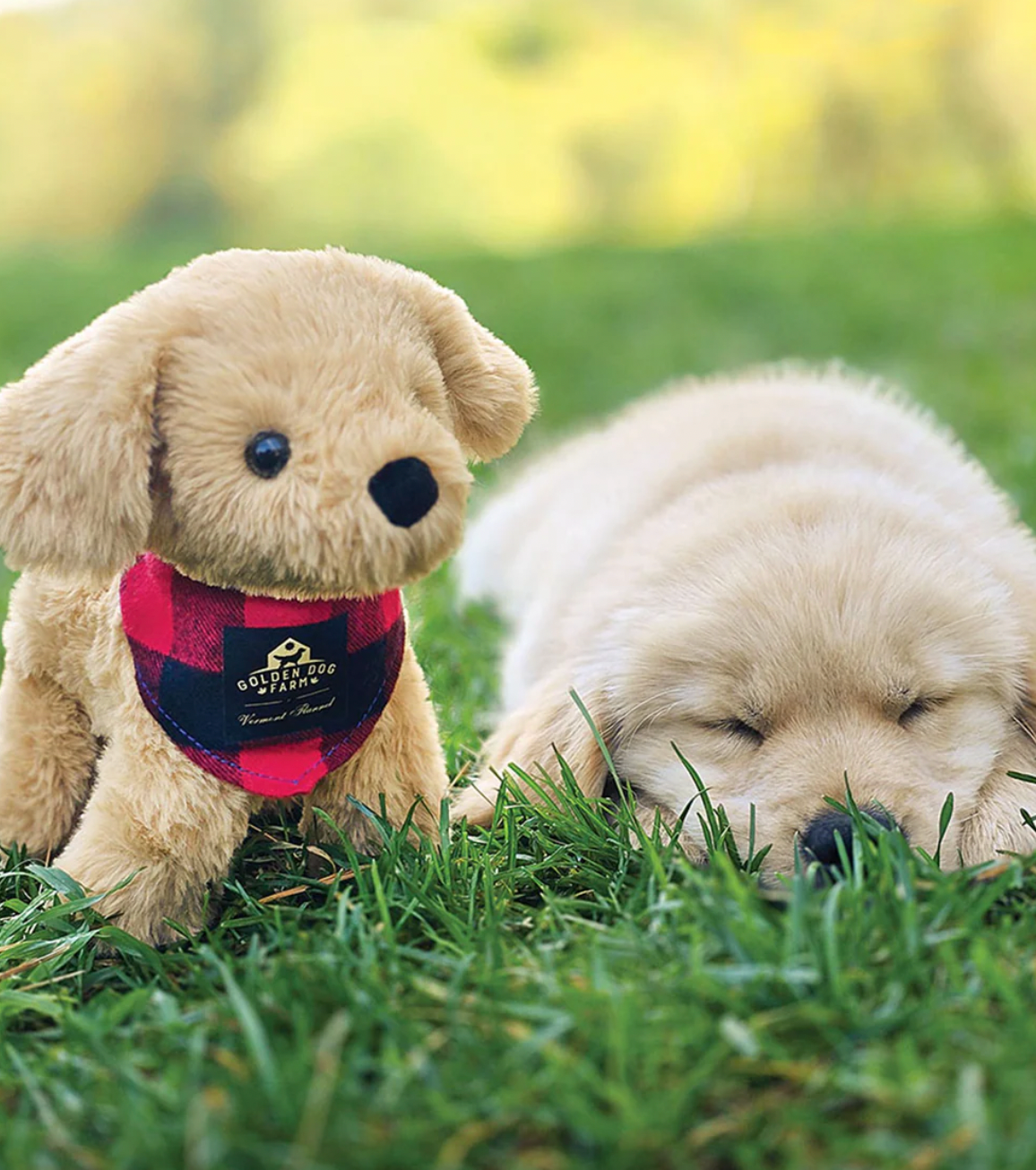 Plush golden retriever store